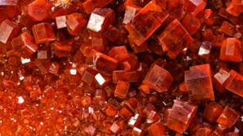 Our Committees - Ecora Resources PLC (LSE: ECOR)